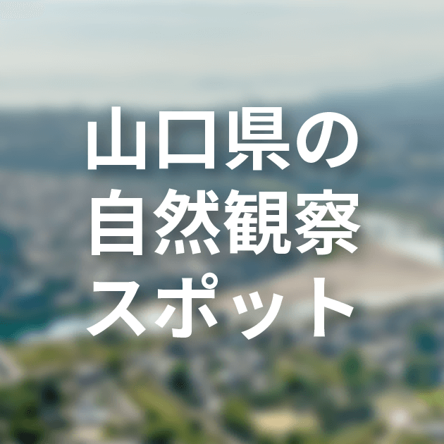 山口県の自然観察スポット集｜大日本図書