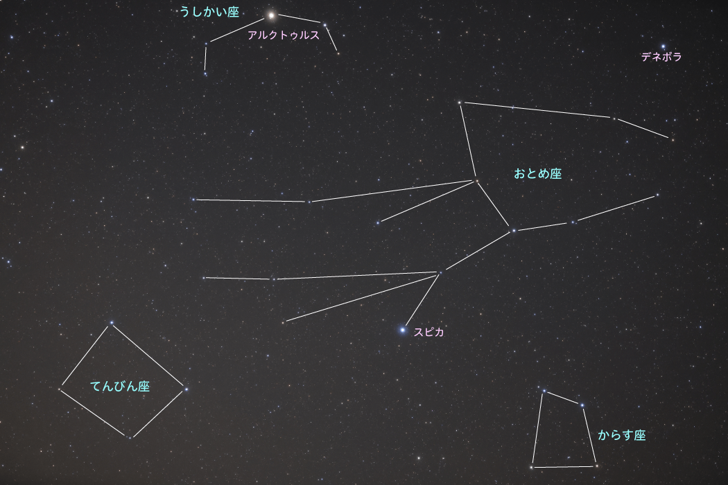 おとめ座｜星や月｜大日本図書